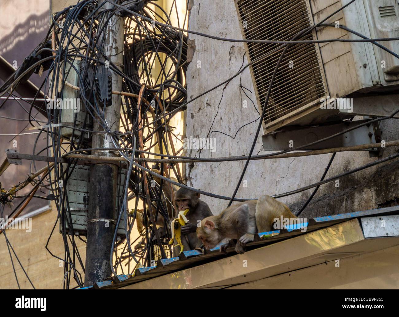 Fathom out hi-res stock photography and images - Alamy