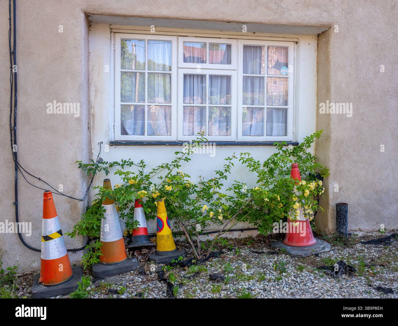 May 2025 - Yatton, North Somerset, England, UK Stock Photo - Alamy