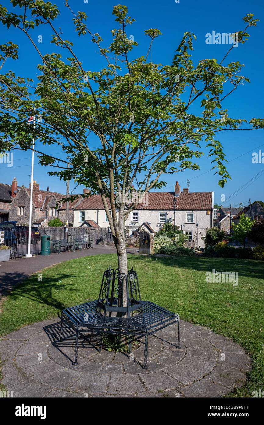 May 2025 - Yatton, North Somerset, England, UK Stock Photo - Alamy
