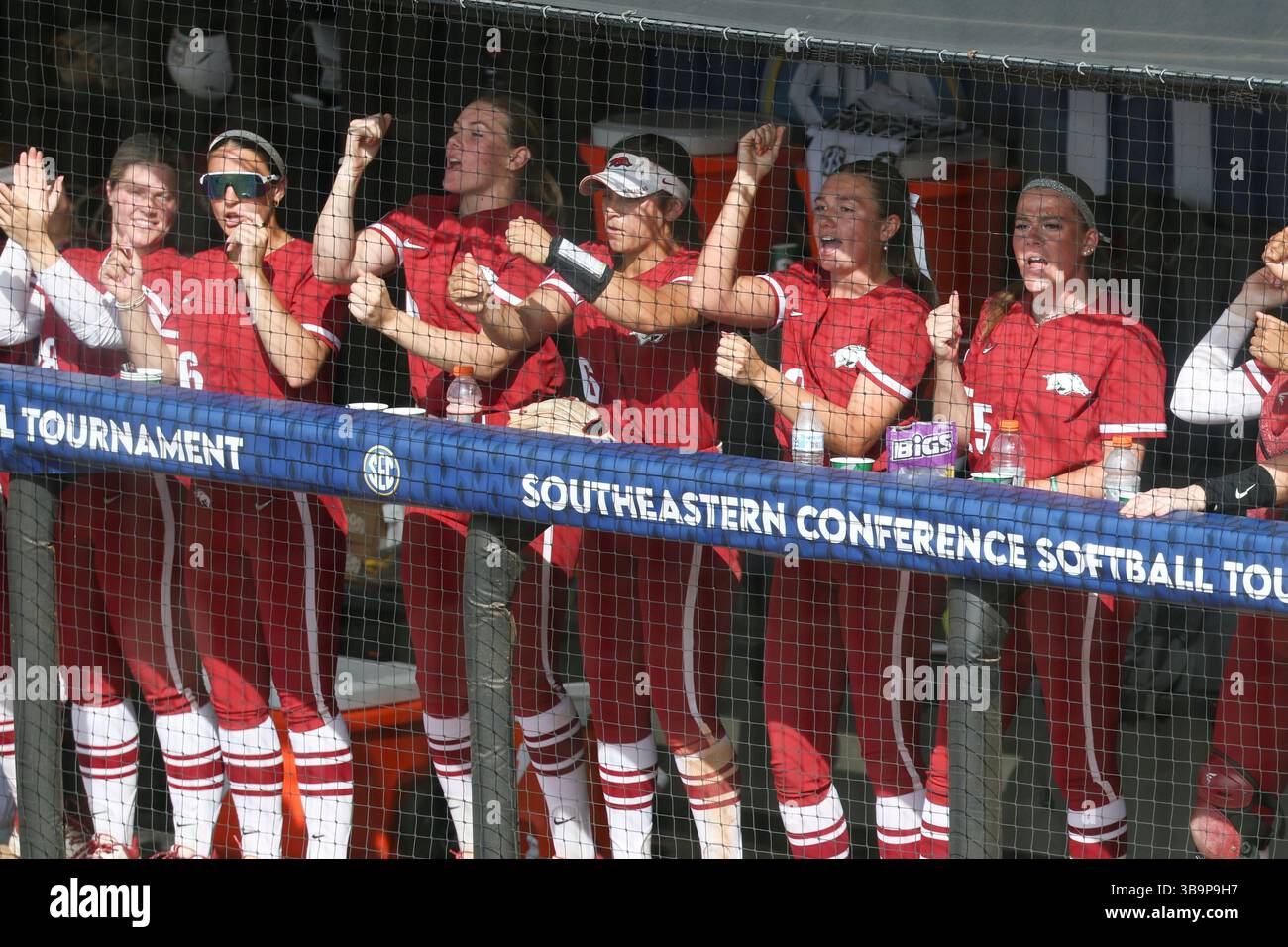 ATHENS, GA - MAY 09: Arkansas players dance and chant in the dugout ...