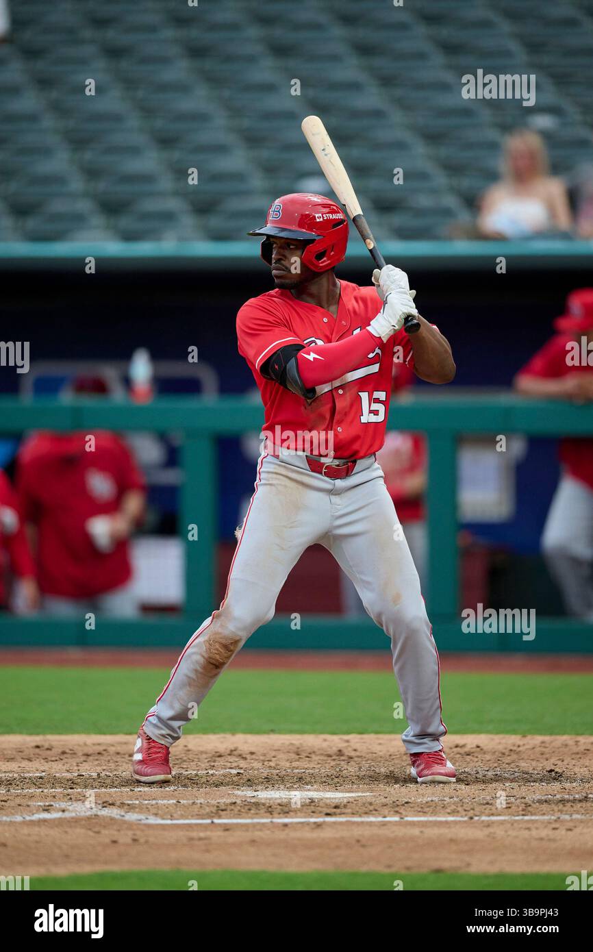 Louisville Bats Ivan Johnson (15) bats during an MiLB International ...