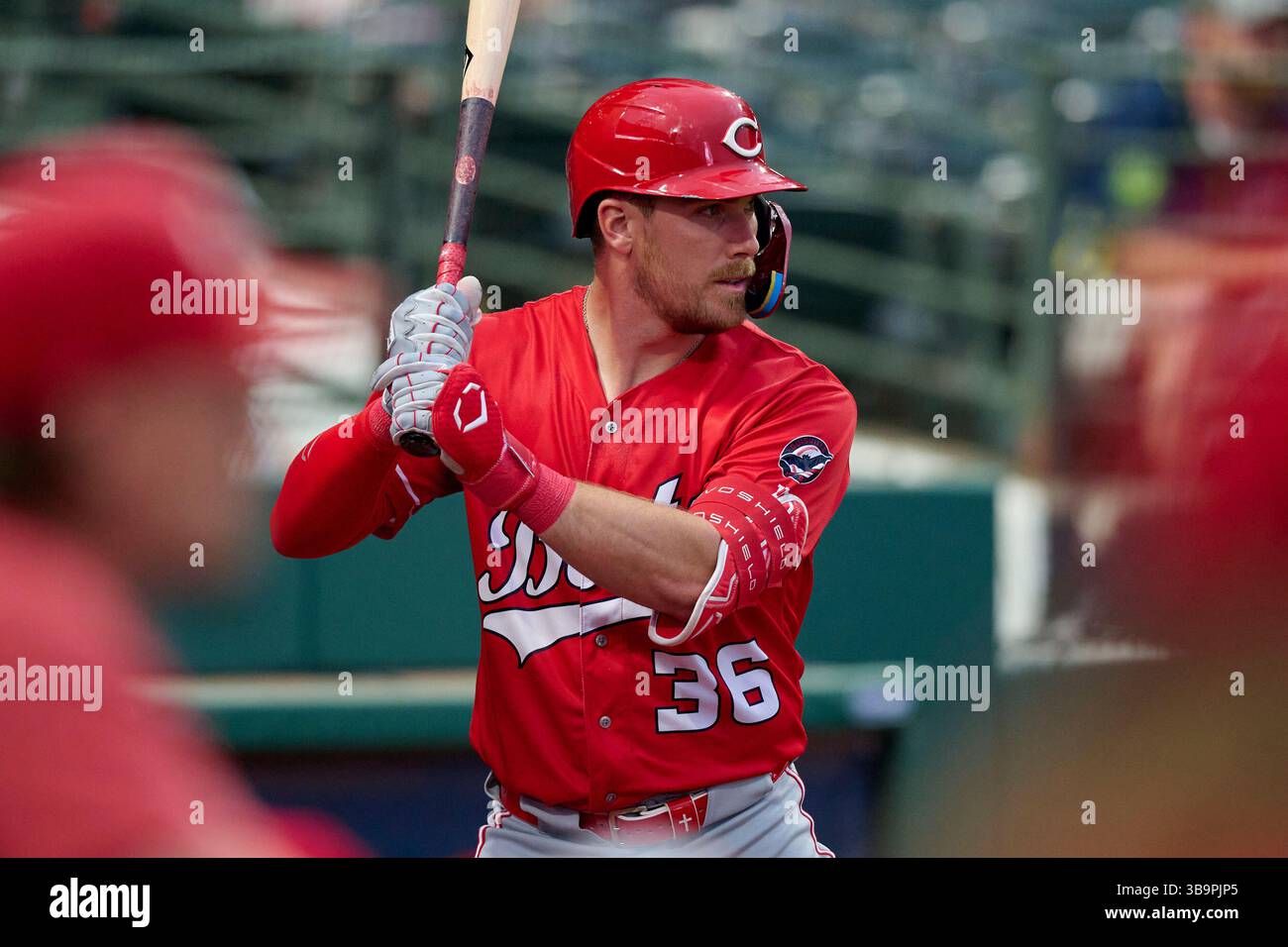 Cincinnati Reds Tyler Stephenson (36), on rehab assignment with the ...