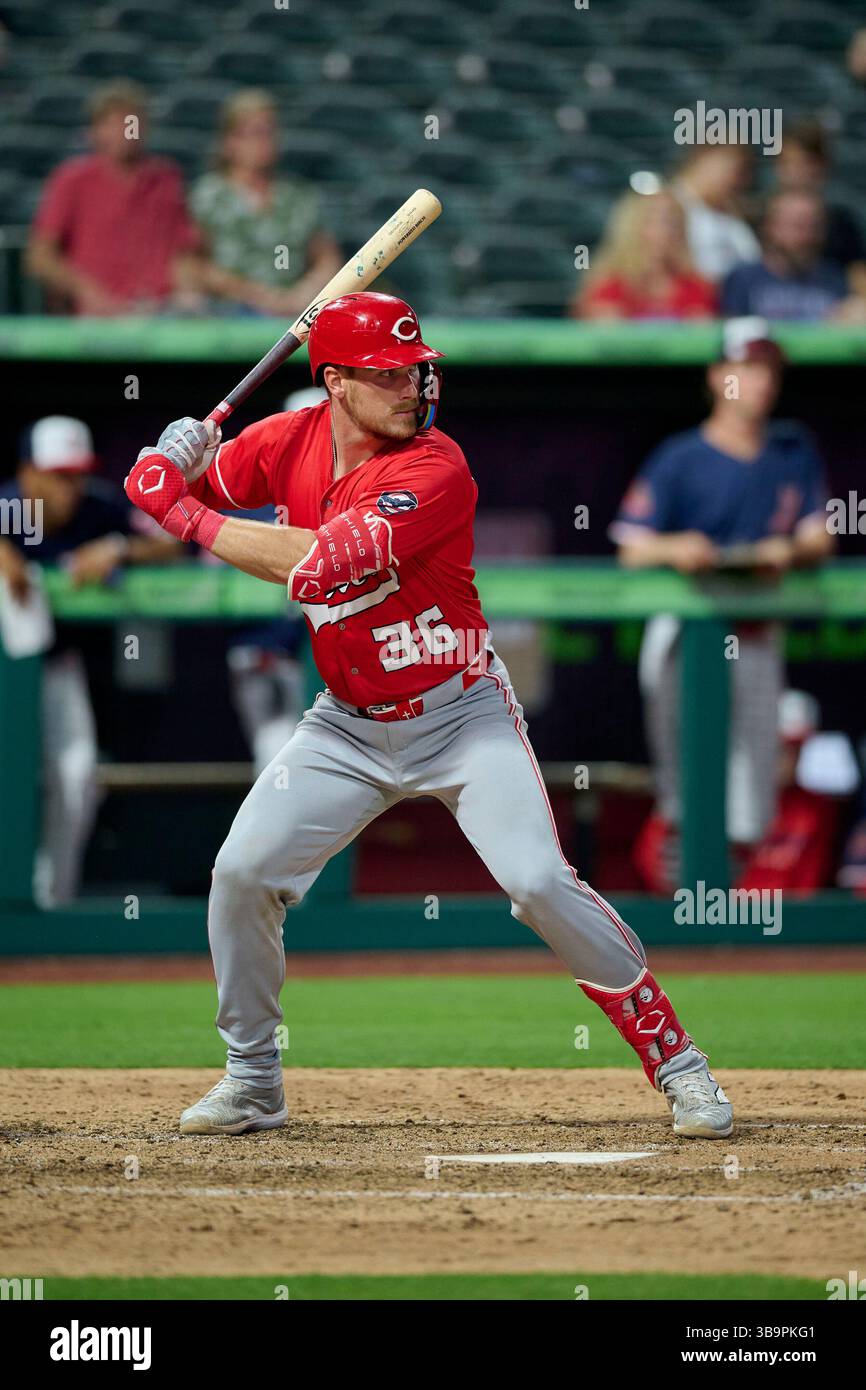 Cincinnati Reds Tyler Stephenson (36), on rehab assignment with the ...