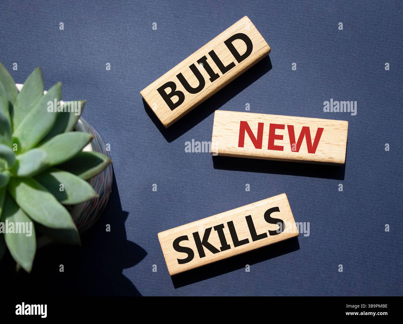 Build New skills symbol. Concept word Build New skills on wooden blocks ...