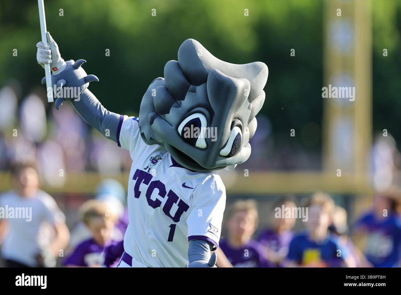 May 9, 2025: Texas Christian University's horned frog mascot leads the ...
