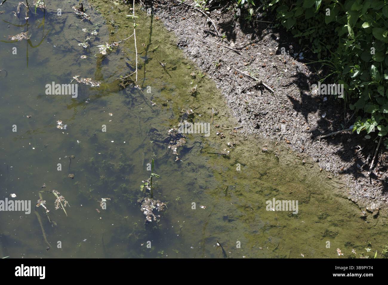 Lierde, Belgium. 10th May, 2025. A brook pictured in Lierde on Saturday ...