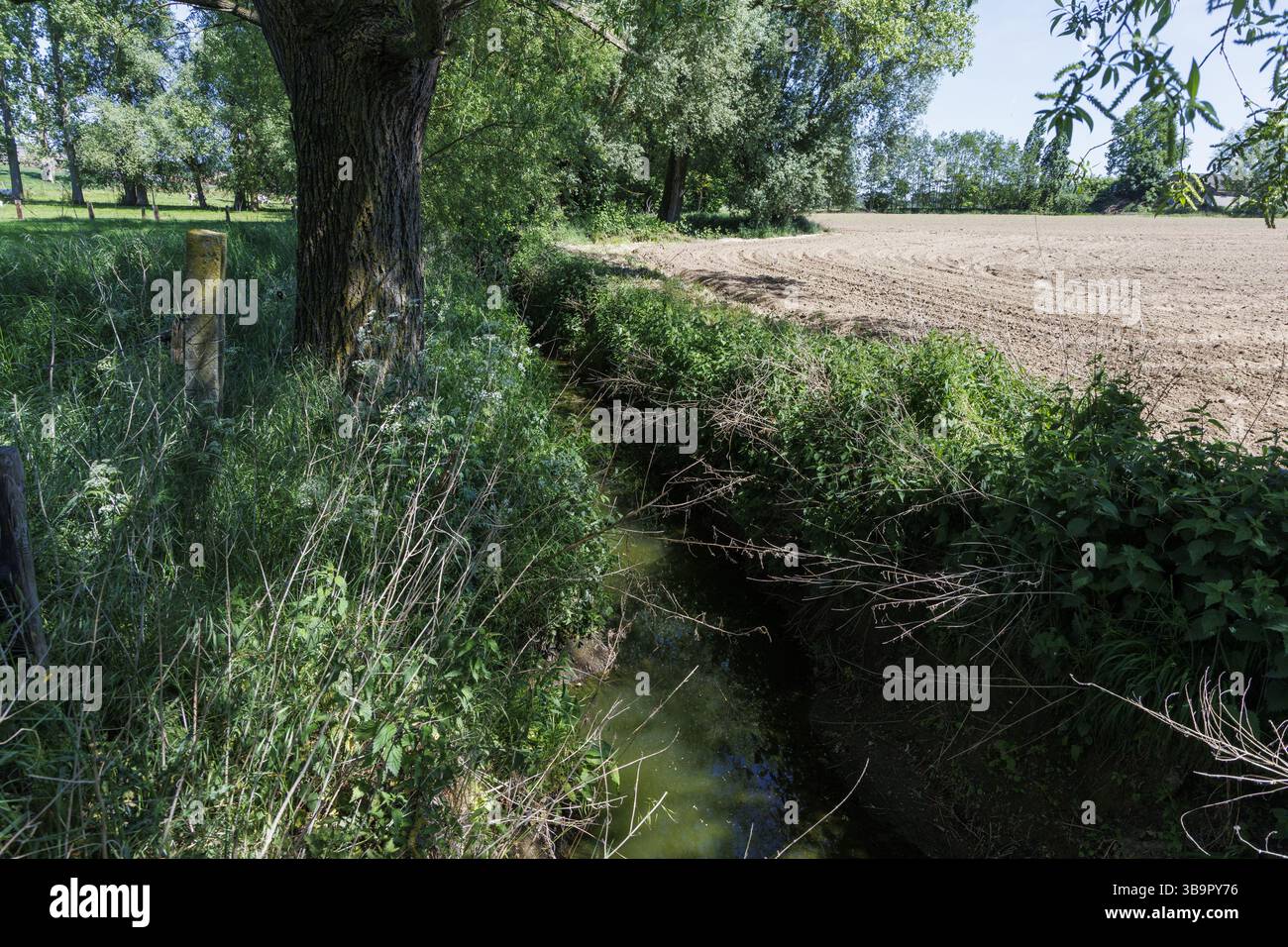 Lierde, Belgium. 10th May, 2025. A brook pictured in Lierde on Saturday ...