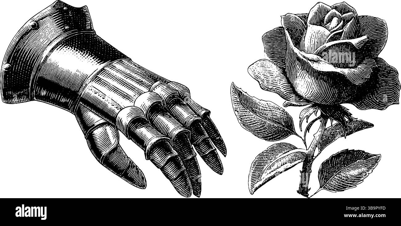 Engraved illustration of knight gauntlet and rose for historical design ...