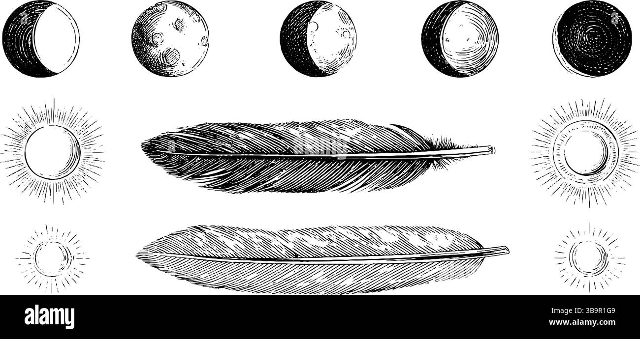 Engraved moon phases and zodiac illustration with feathers Stock Vector ...