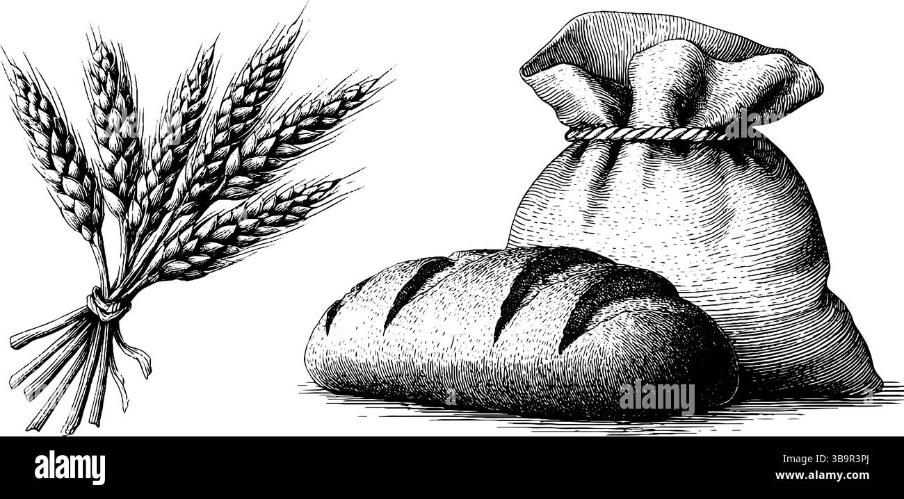 Engraved illustration set featuring wheat bundle and rye with bread and ...