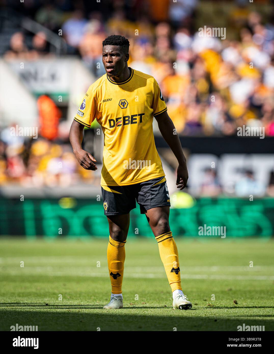 Munetsi wolves hi-res stock photography and images - Alamy