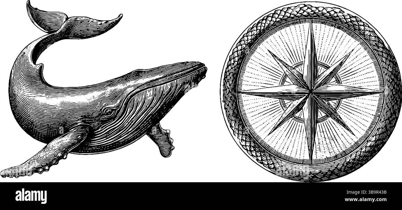 Engraved mythical whale and compass rose illustration for nautical ...