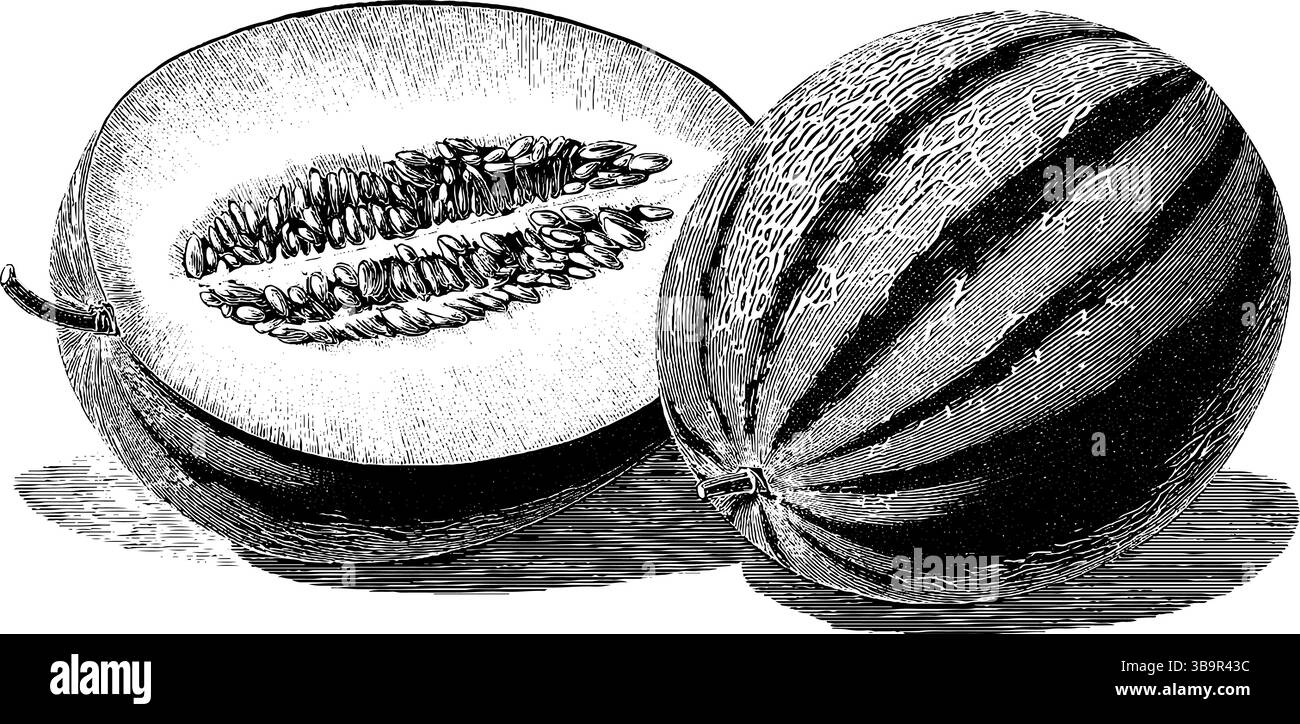 Showcasing intricate detail Cut Out Stock Images & Pictures - Alamy