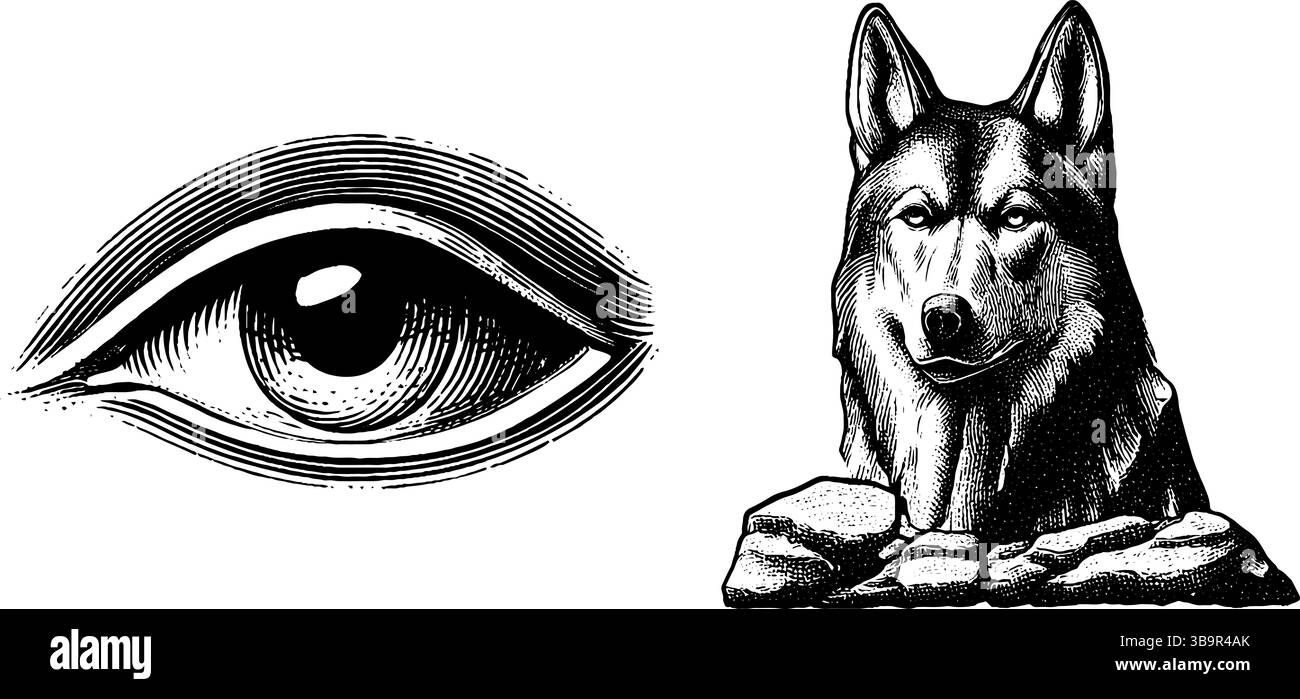 Mythical symbolism of odin's eye and wolf engraving for norse design ...