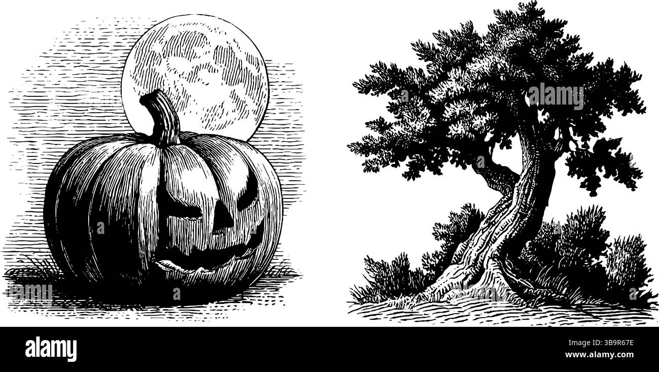 Engraved pumpkin and tree illustration for halloween decorations and ...