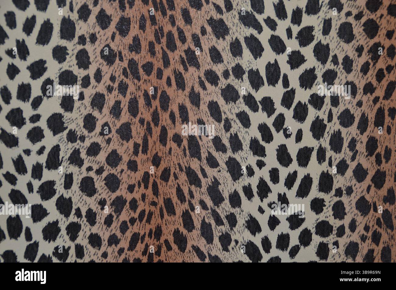 Unique spotted pattern hi-res stock photography and images - Alamy