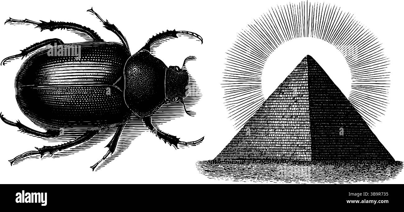 Vintage engraved design featuring scarab beetle and radiant pyramid for ...