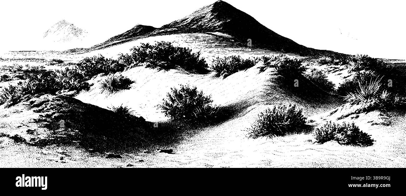 Engraved illustration of desert sand dune ridge with vegetation set ...