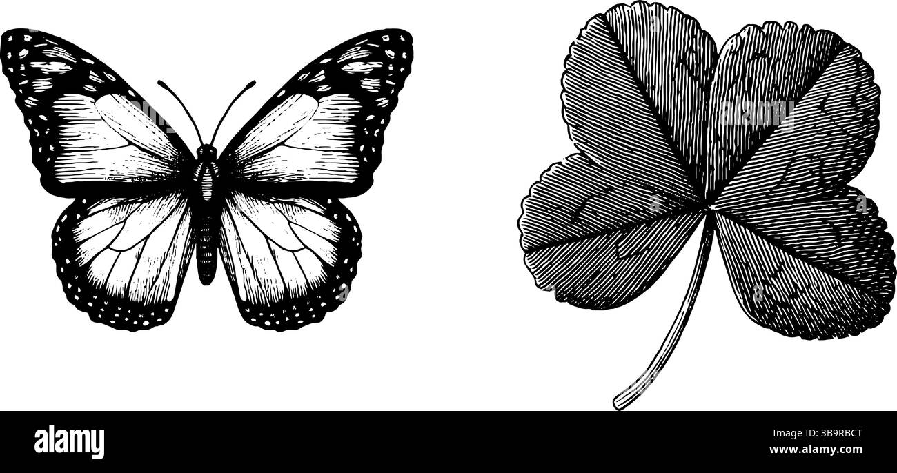 Engraved art of butterfly and clover for nature-inspired design Stock ...