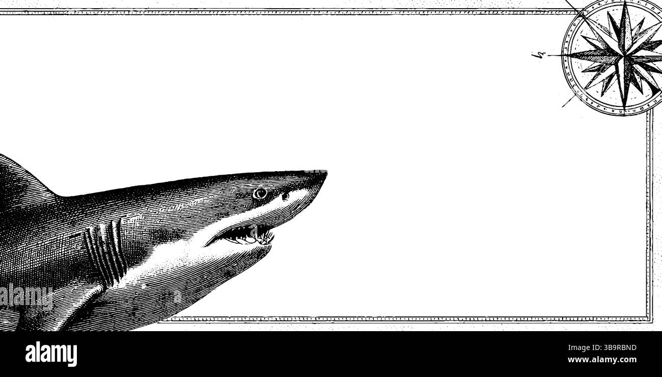 Sea monster map hi-res stock photography and images - Alamy