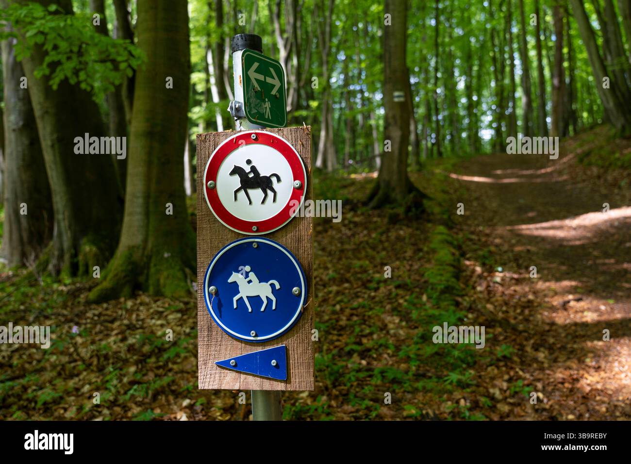 Hinweisschilder für Reiter am Wanderweg von Lohme zum Königsstuhl über ...