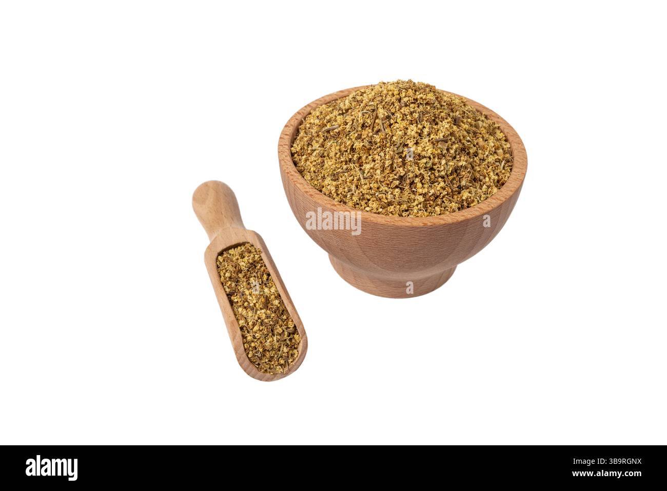 dried flowers of black lilac or black elder in latin sambuci flos in ...