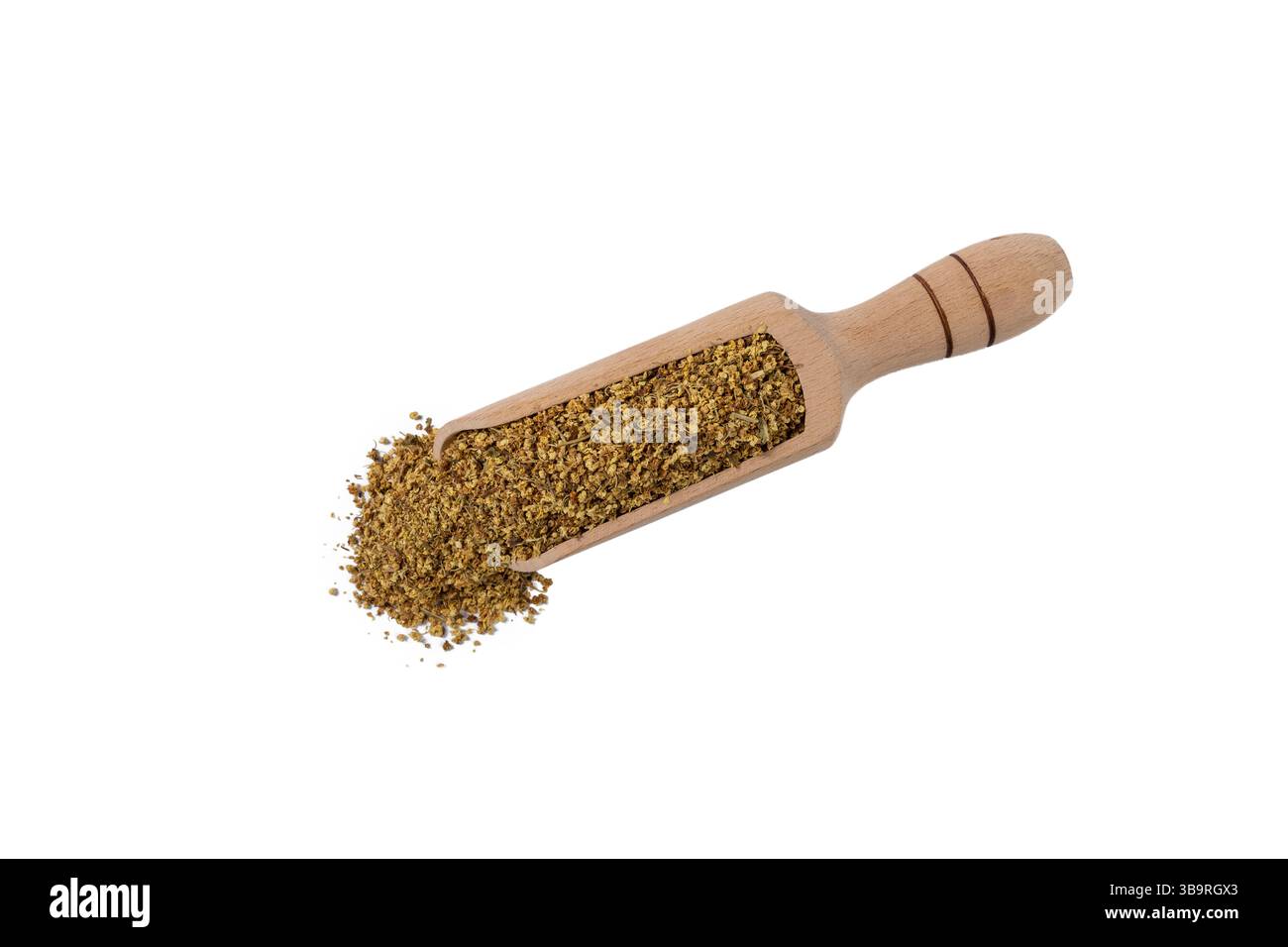 dried flowers of black lilac or black elder in latin sambuci flos in ...