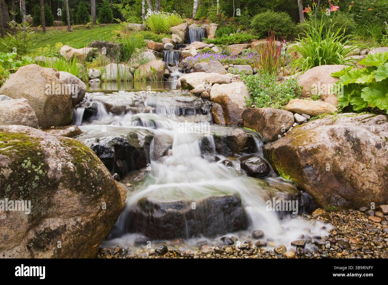Man-made cascading waterfall and pond with Typha latifolia - Common ...