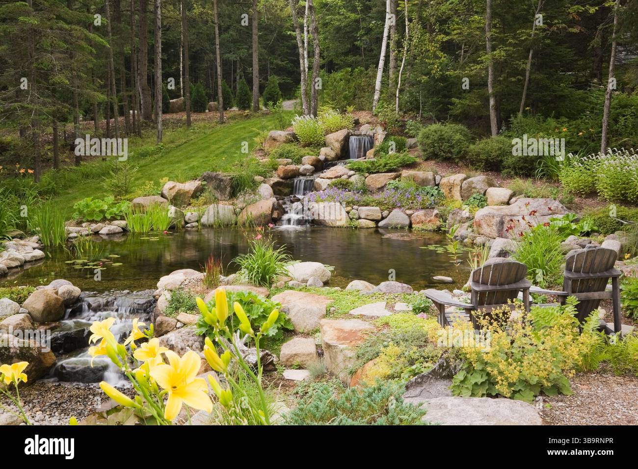Man-made cascading waterfall and pond with Typha latifolia - Common ...