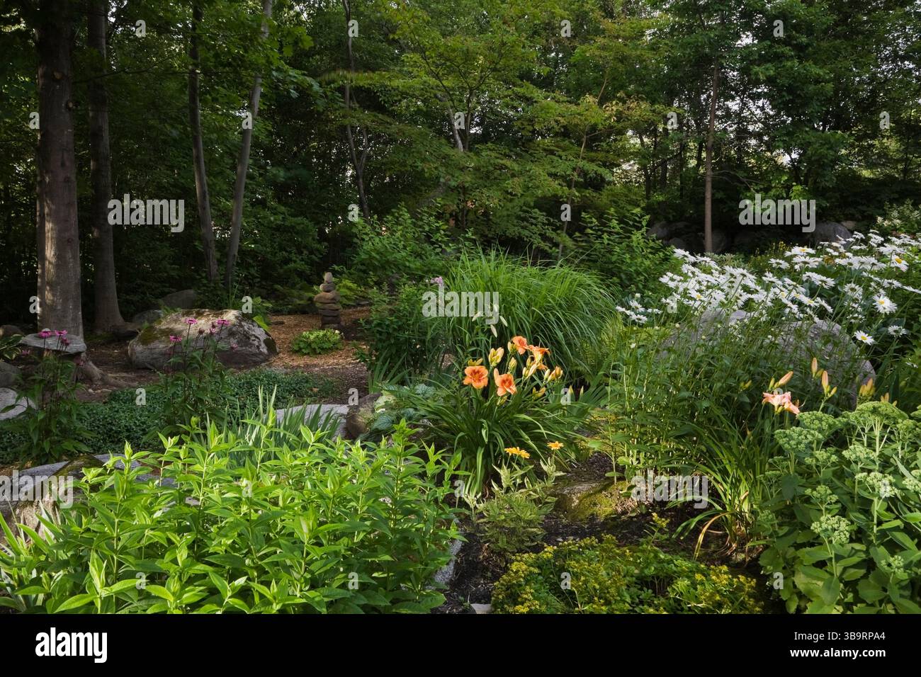 Border with Sedum spectabilis - Stonecrop, Hemerocallis 'Ambrosia ...