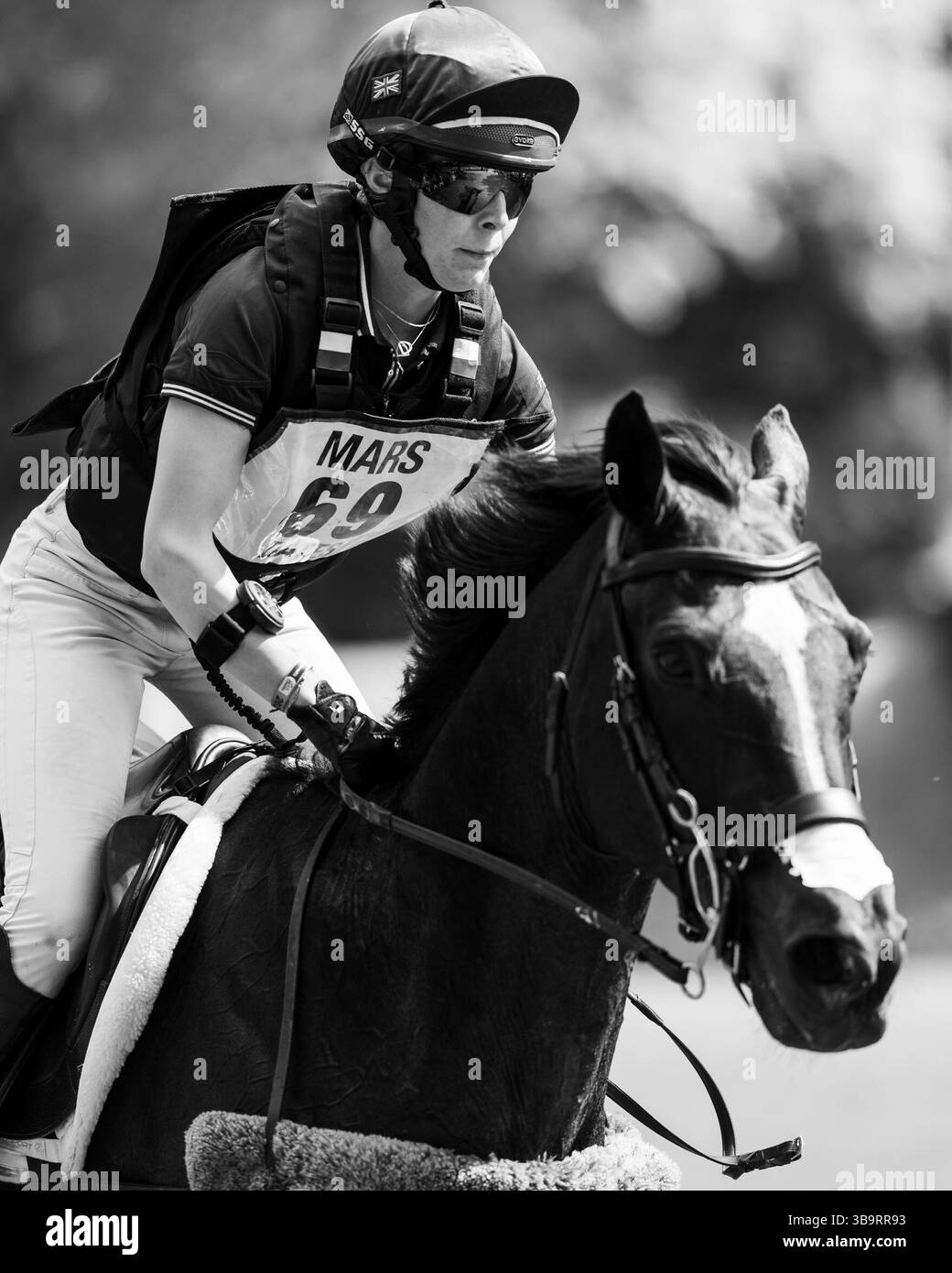 Crosscountry horse Black and White Stock Photos & Images - Alamy