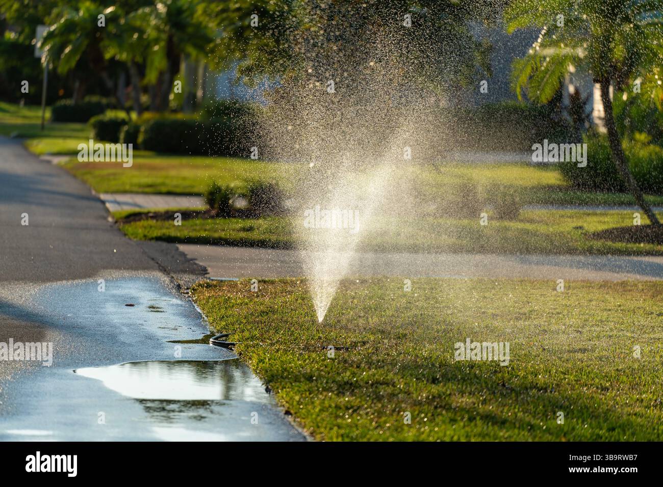 Irrigation lawn sprinkler spreading water over backyard grass in dry ...