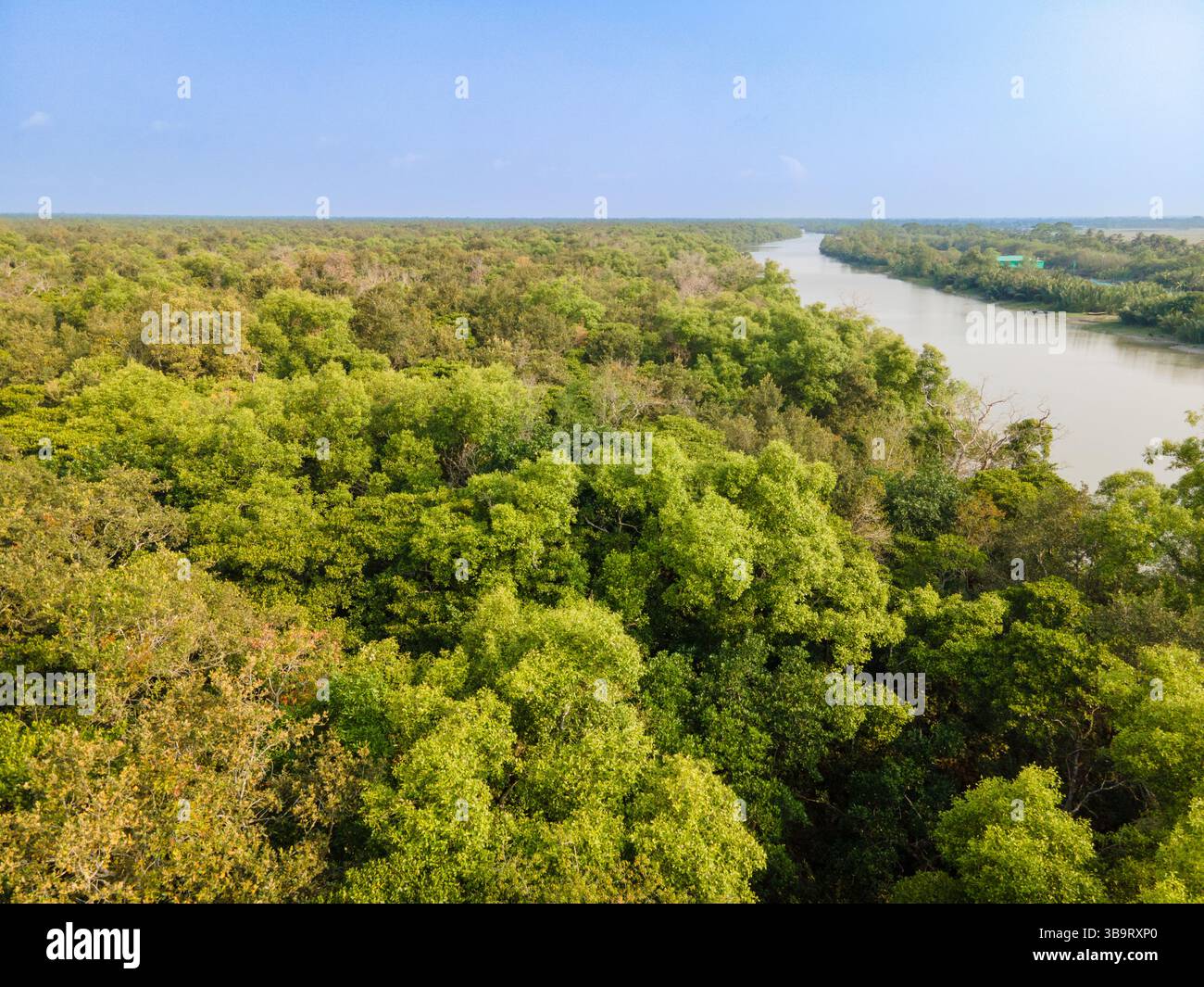 Drone View of Sundarbans Mangrove Forest in Khulna, Bangladesh – UNESCO World Heritage Site ...