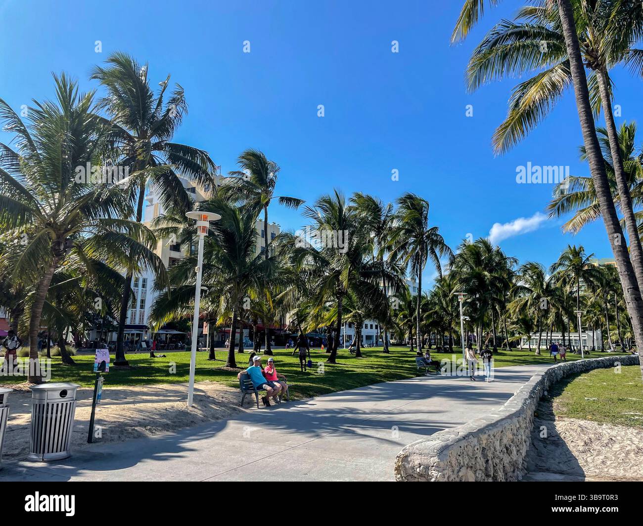 Sunny Day at a Palm-Lined Beach Promenade Stock Photo - Alamy
