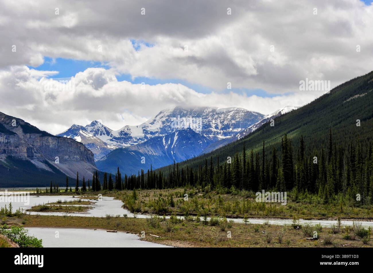 Dramatic snow-capped peaks rise behind dense coniferous forests and ...