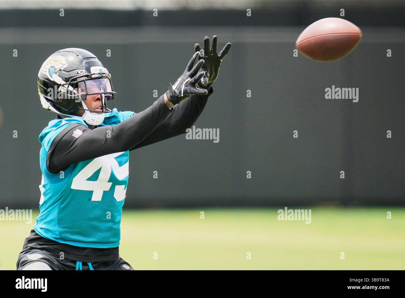 Jacksonville Jaguars wide receiver Darius Lassiter during the NFL ...
