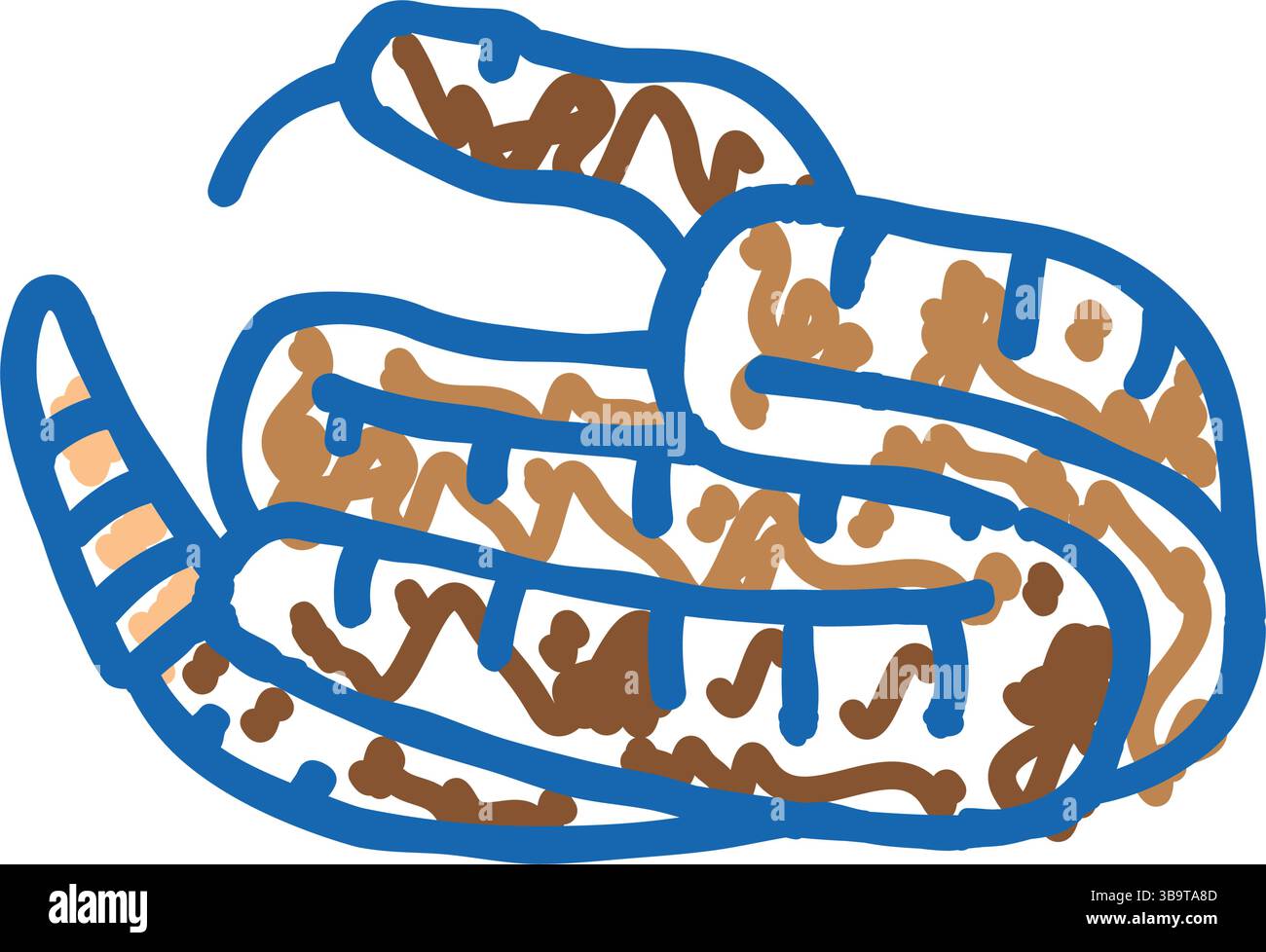 rattlesnake animal icon doodle illustration Stock Vector Image & Art ...