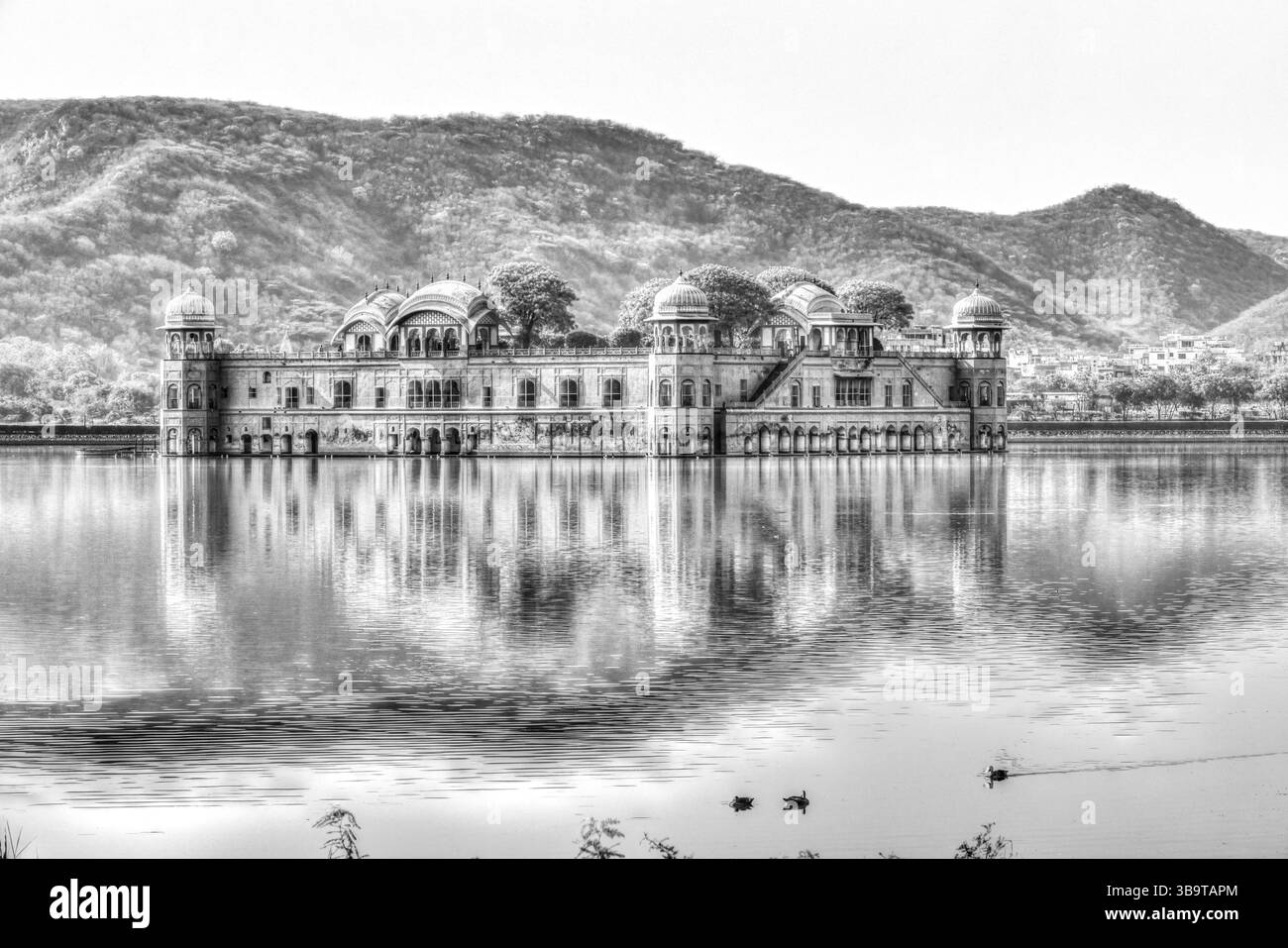 Palace jal mahal mahal Black and White Stock Photos & Images - Alamy