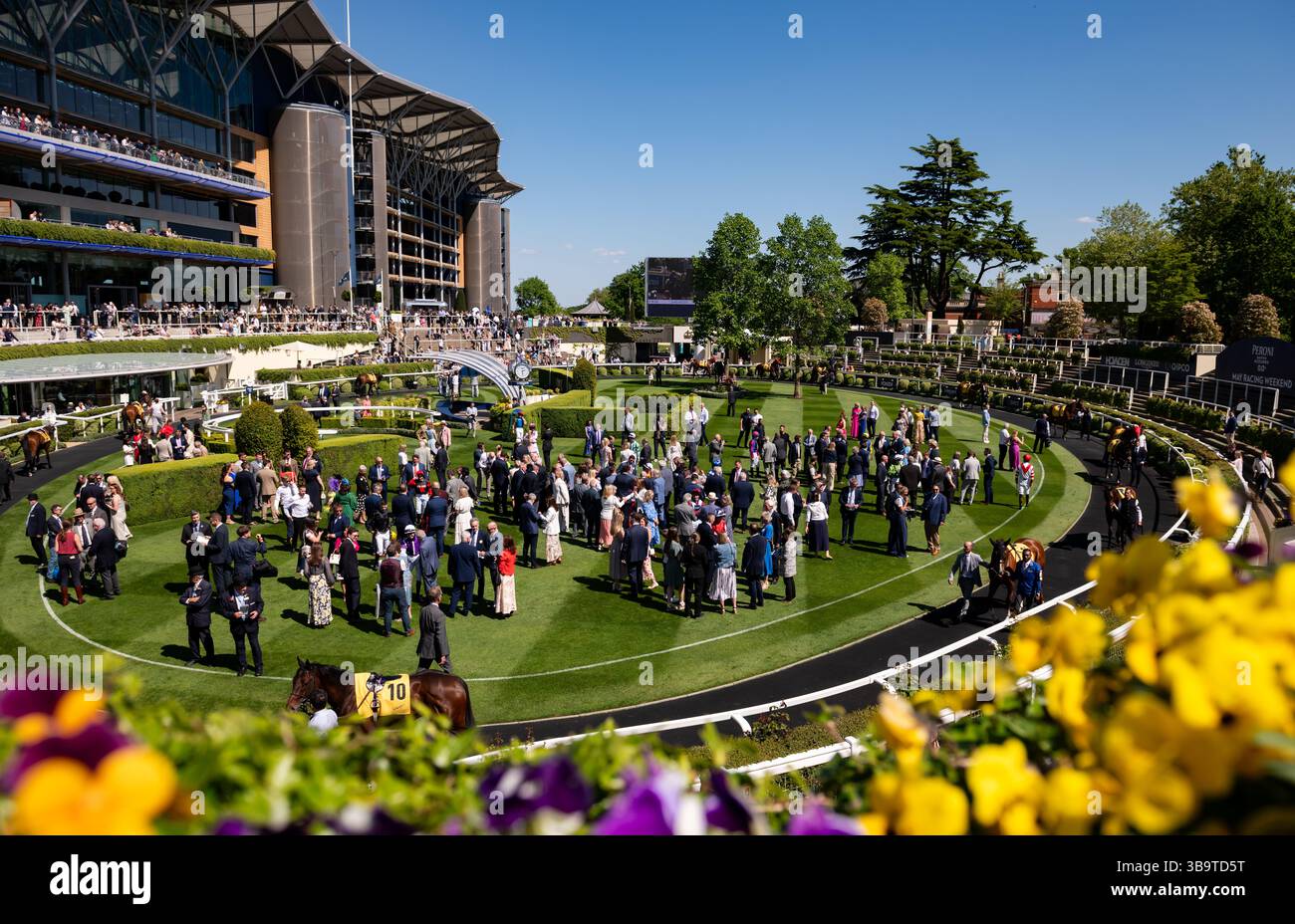 Ascot, UK, Saturday 10th May 2025; the scene in the Parade Ring at ...