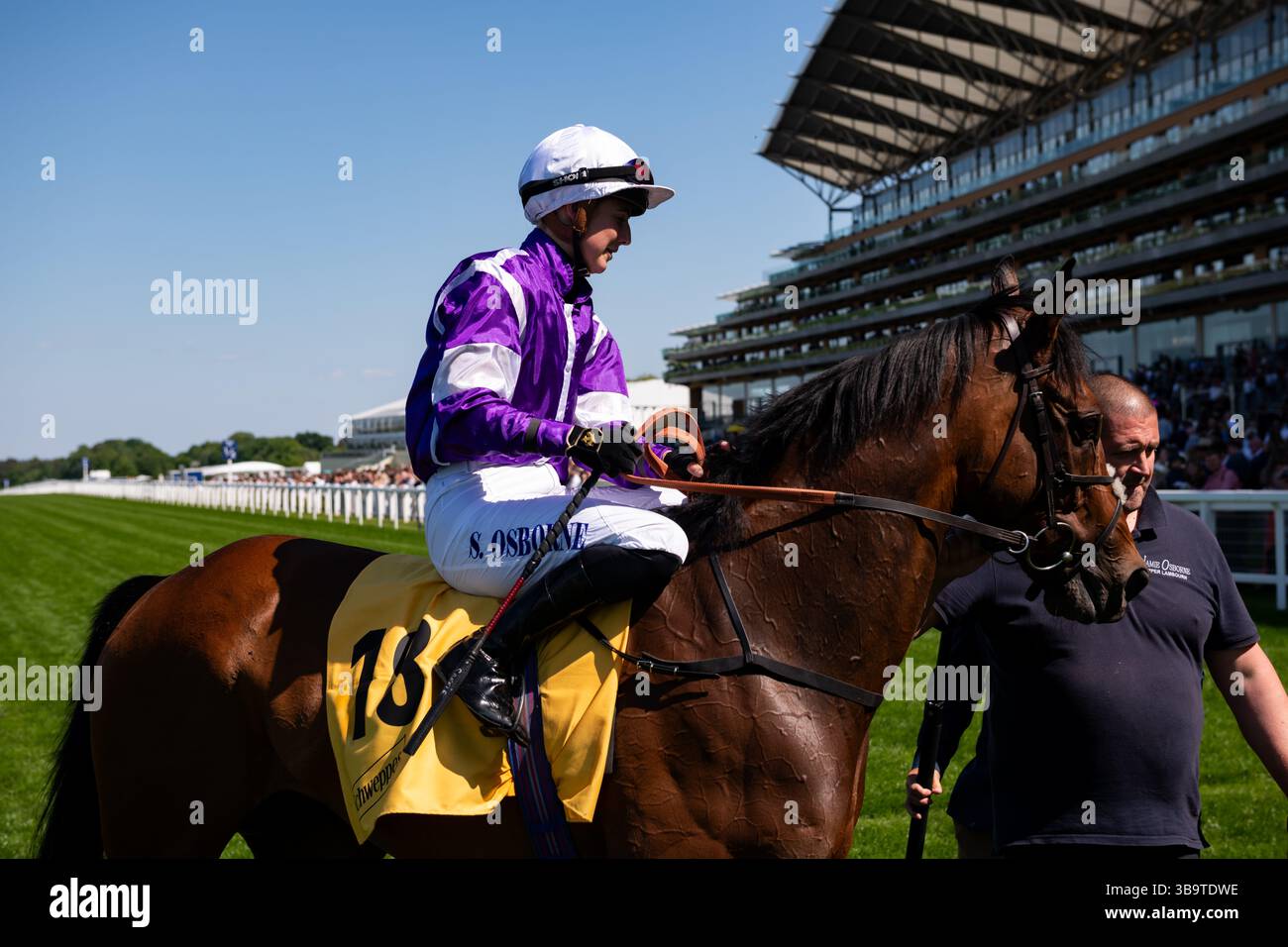 Ascot, UK, Saturday 10th May 2025; Hickory and jockey Saffie Osborne ...