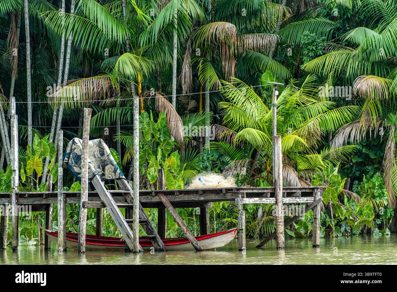 River boat tour on the Guama River at Belem do Para, a city on the ...