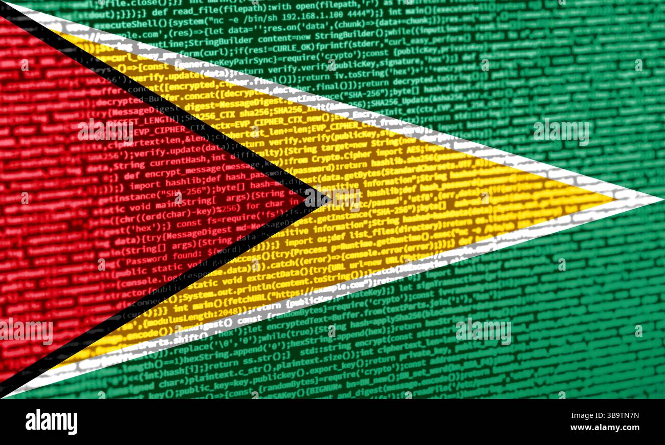 Digital concept with the flag of Guyana on a tech background. Guyana in ...