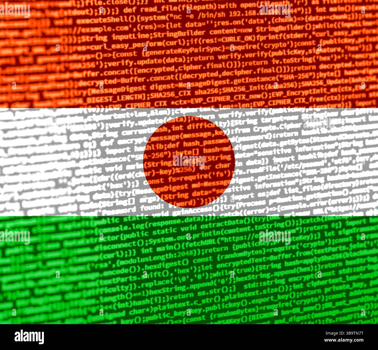 Digital concept with the flag of Niger on a tech background. Niger in ...