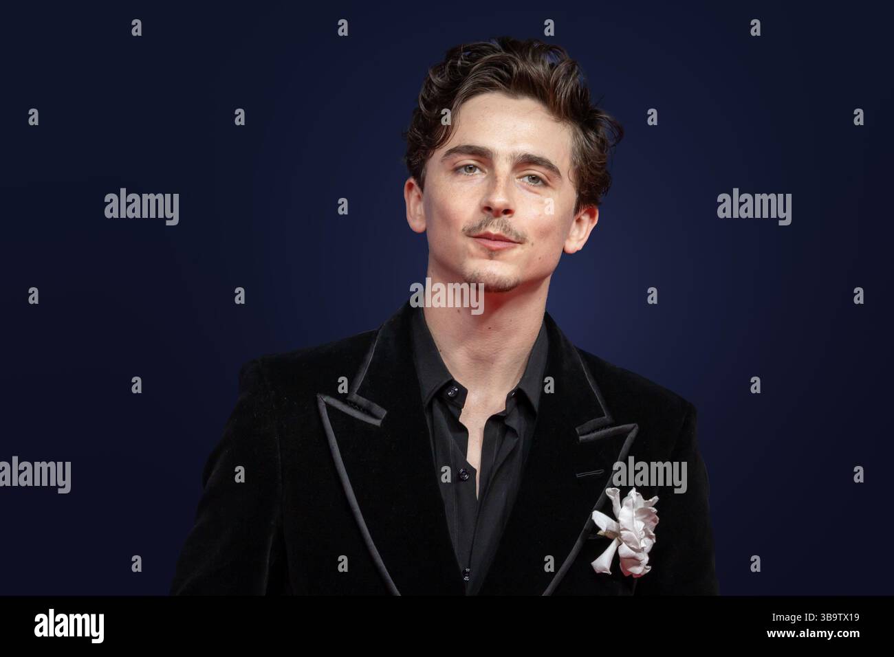 Rome, Italy - May 7, 2025: Timothee Chalamet attends the red carpet ...