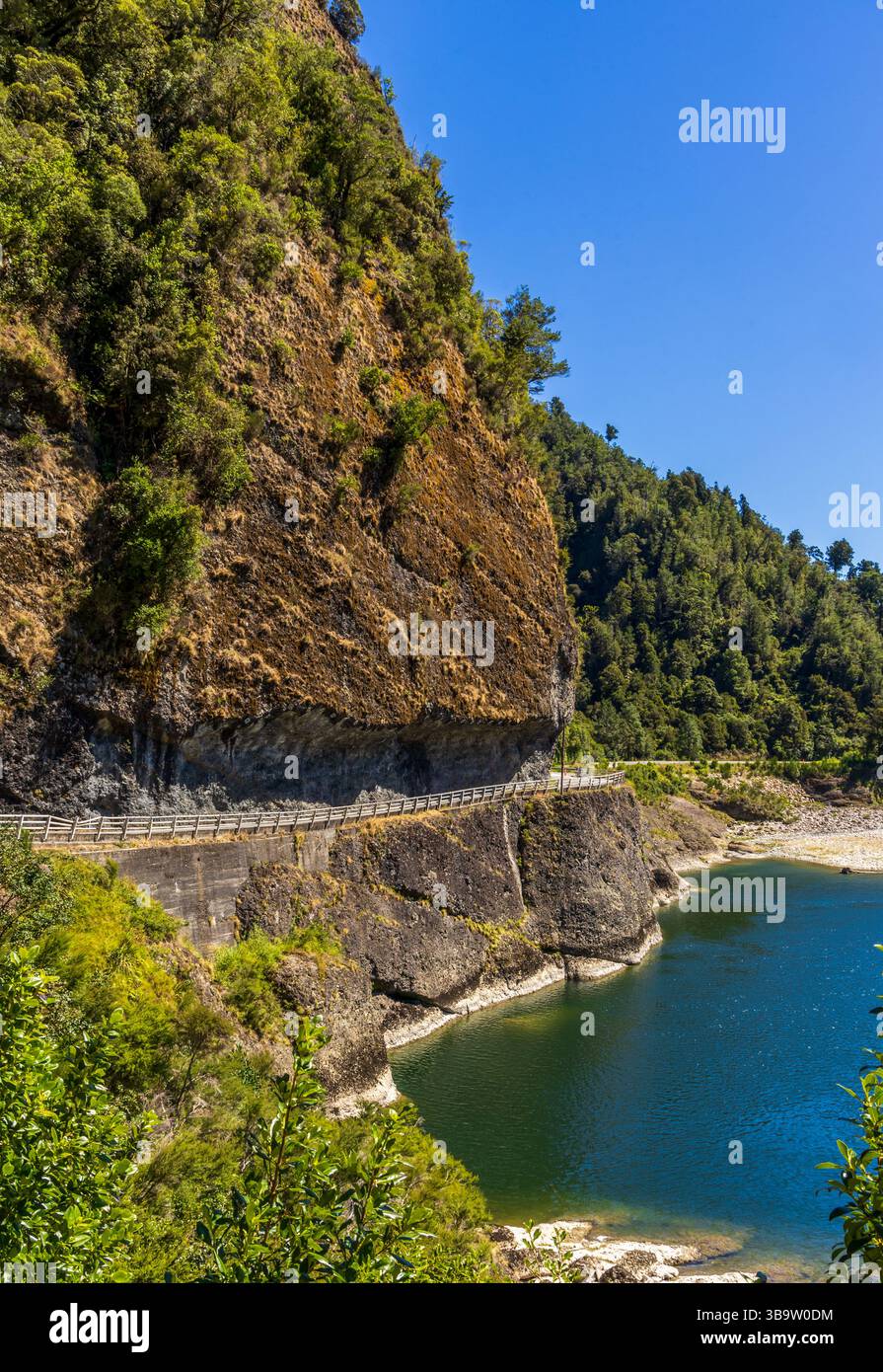 Beautiful scenery at Buller River, South Island, New Zealand Stock ...
