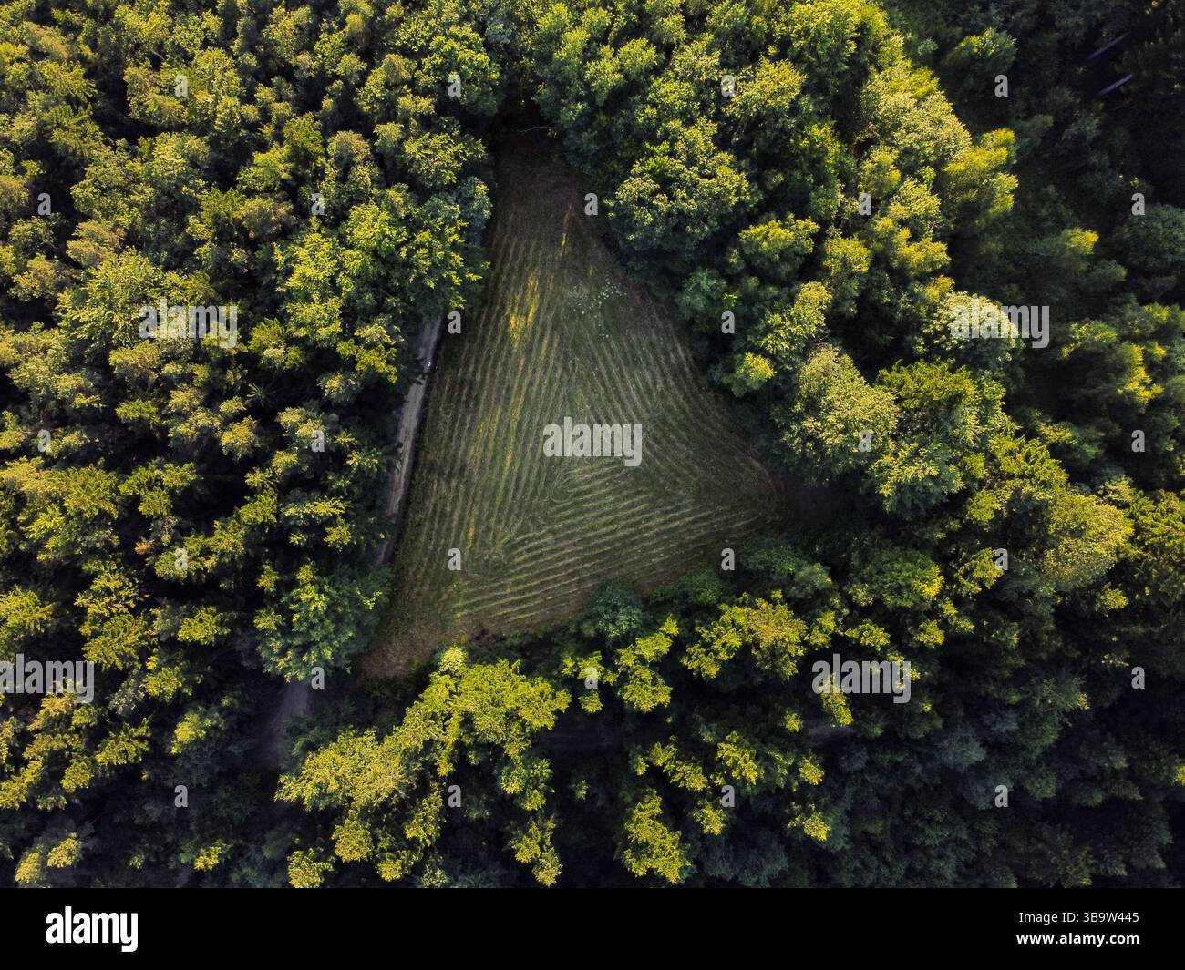 Drone top view dense forest hi-res stock photography and images - Alamy