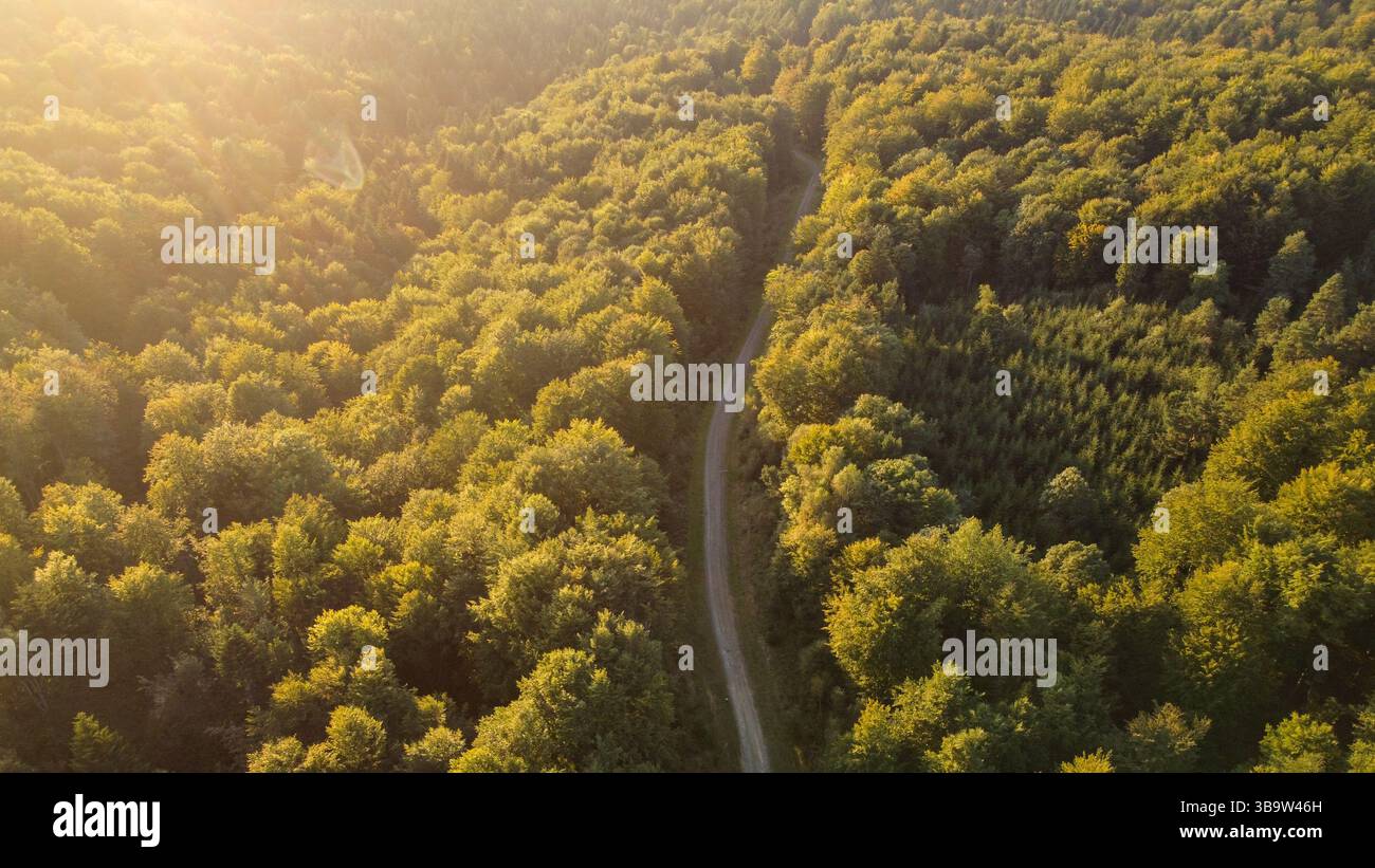 Sunlit Rural Valley with Forest and Fields, Aerial Perspective Stock ...