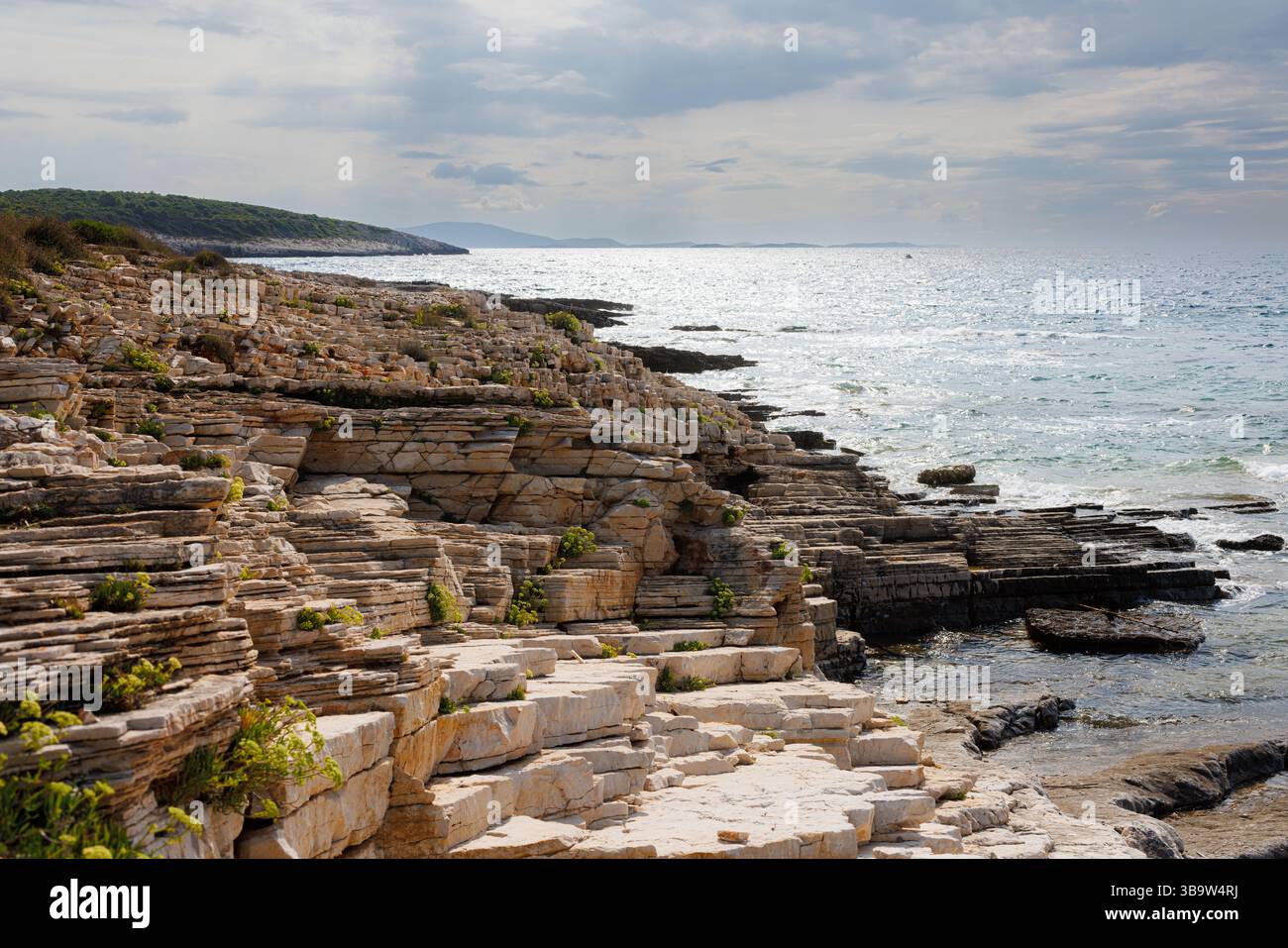 The rugged limestone landscape of the Kamenjak National Park on the ...