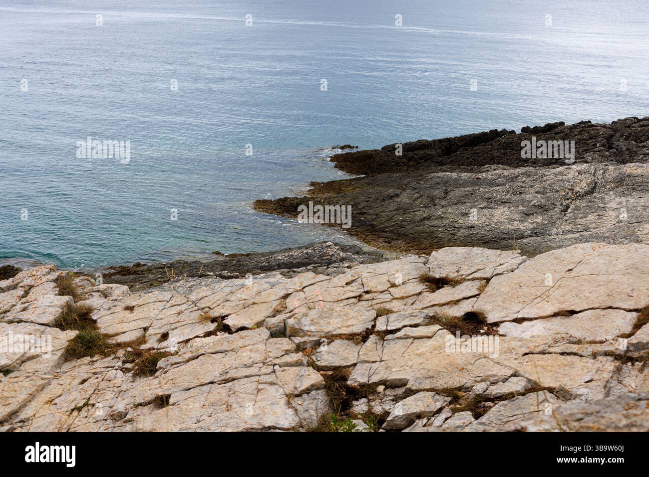 The rugged limestone landscape of the Kamenjak National Park on the ...
