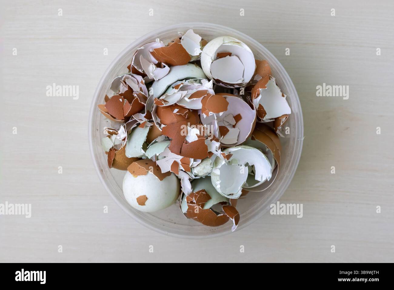 Broken eggshells in a plastic container. Eggshell waste, an organic ...